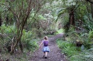 Mambara Walk – Hornsby Shire Council
